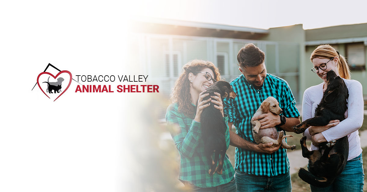 Press Release: $20 Raffle Ticket Will Win 32-Acre Montana Waterfront ...